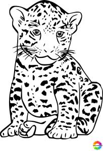 17+ Jaguar ausmalbilder tiere zum drucken kostenlos für kinder