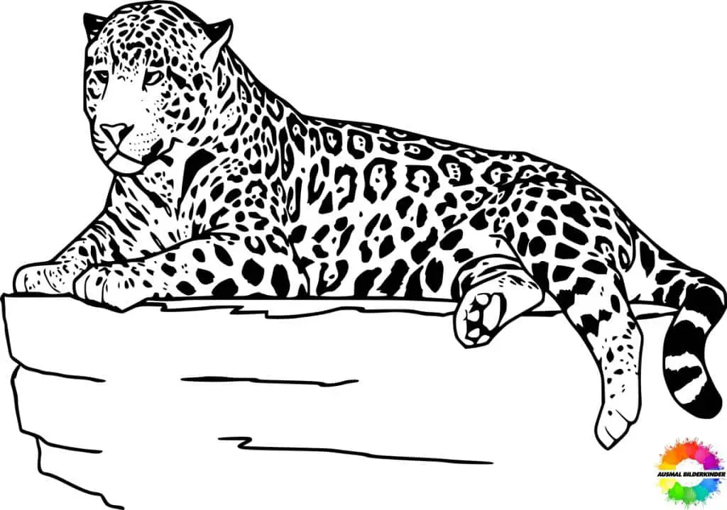 17+ Jaguar ausmalbilder tiere zum drucken kostenlos für kinder