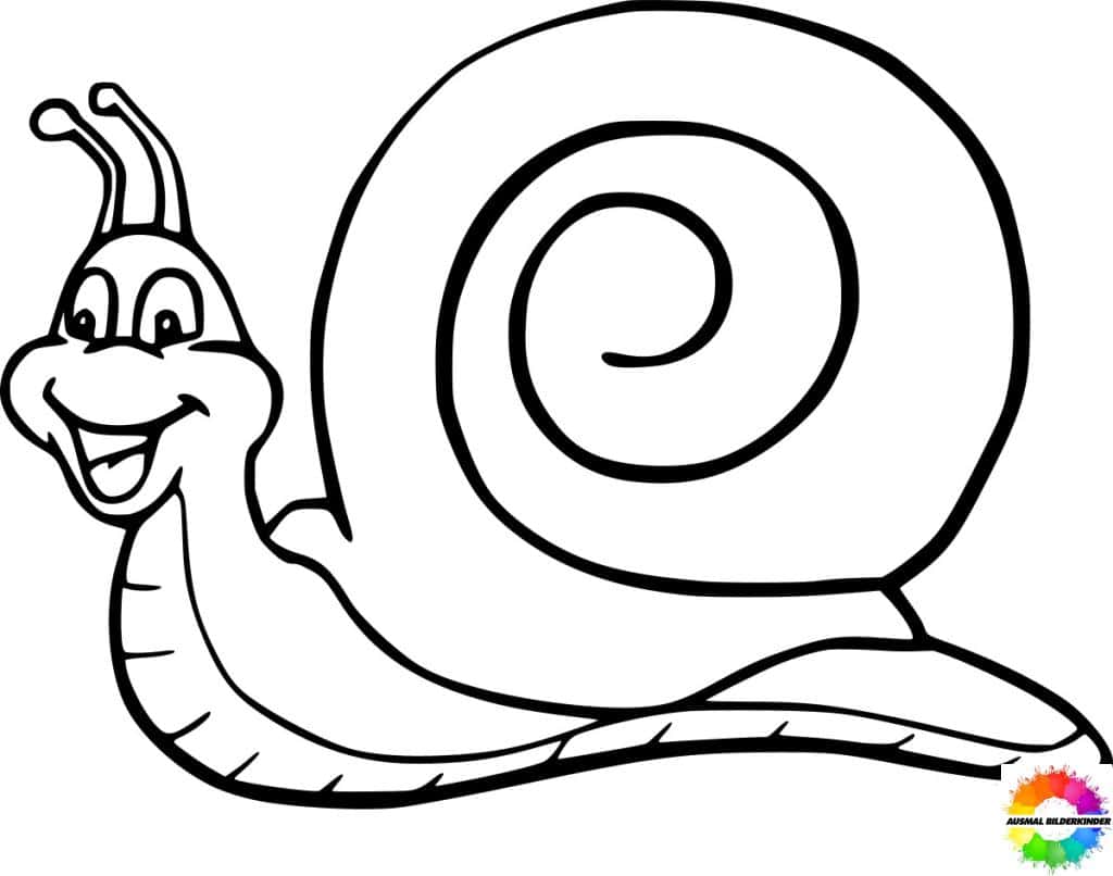 47+ Schnecken ausmalbilder kostenlos ausdrucken - Schau jetzt